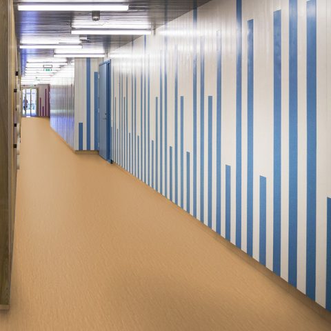 Vylon Plus | La Europea